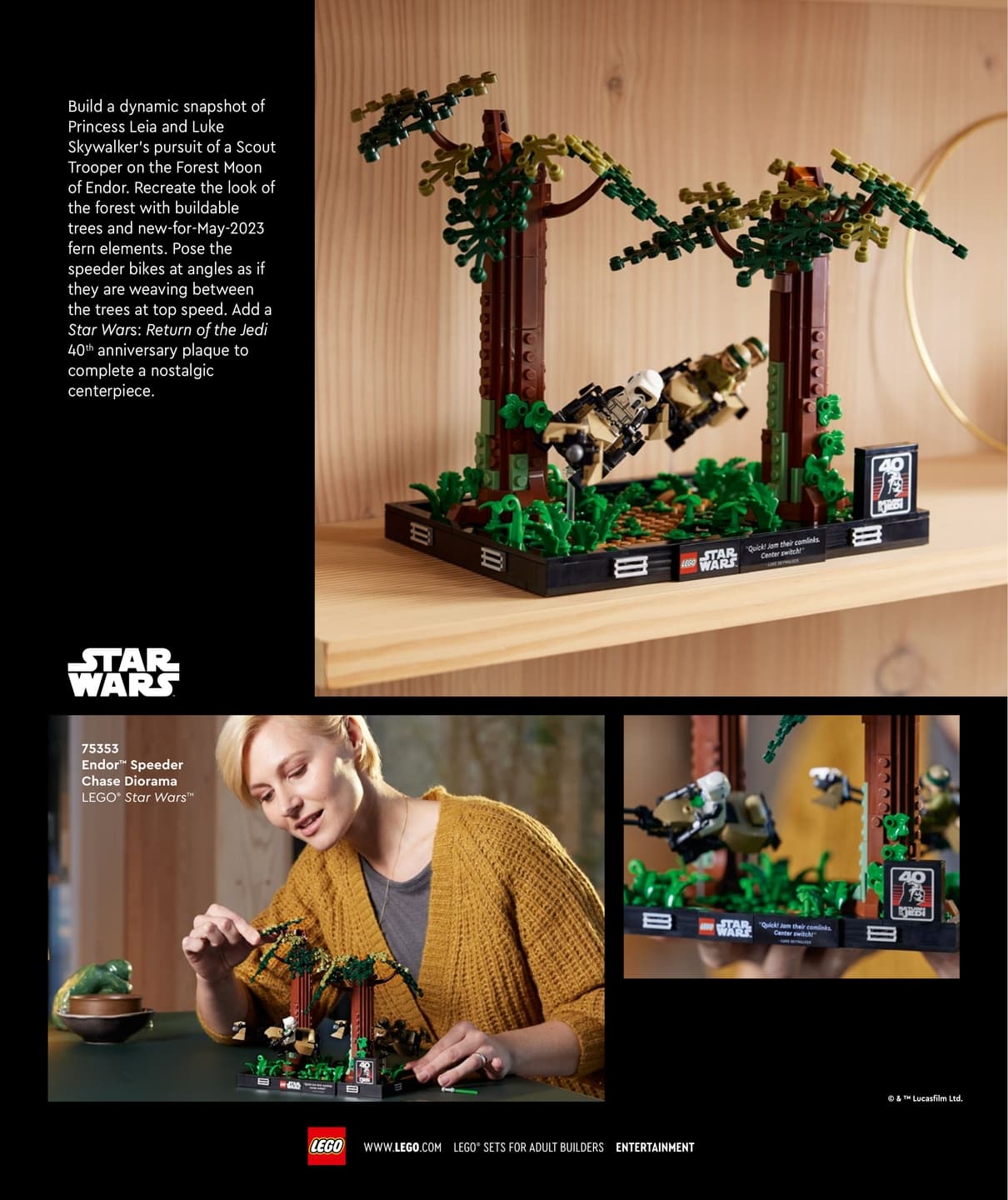 Catalogue LEGO Adults Welcome Octobre 2024 : Sets LEGO Pour Adultes